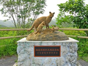 Animals and Plants of Okinawa｜Okinawa’s Unique Biodiversity | NIHON ...